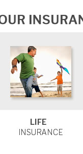 Optional Life Insurance Coverage 🚘 Nov 2025